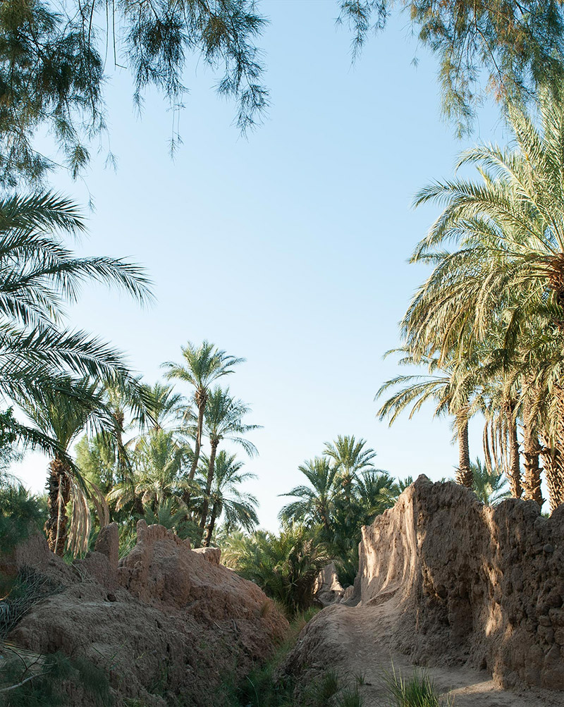 Écolodges et bivouacs chics au Maroc - Azalai Life Experience - 2019